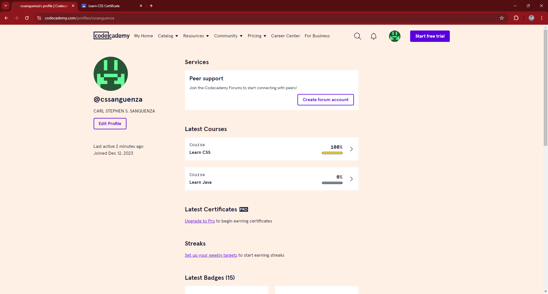 Portfolio